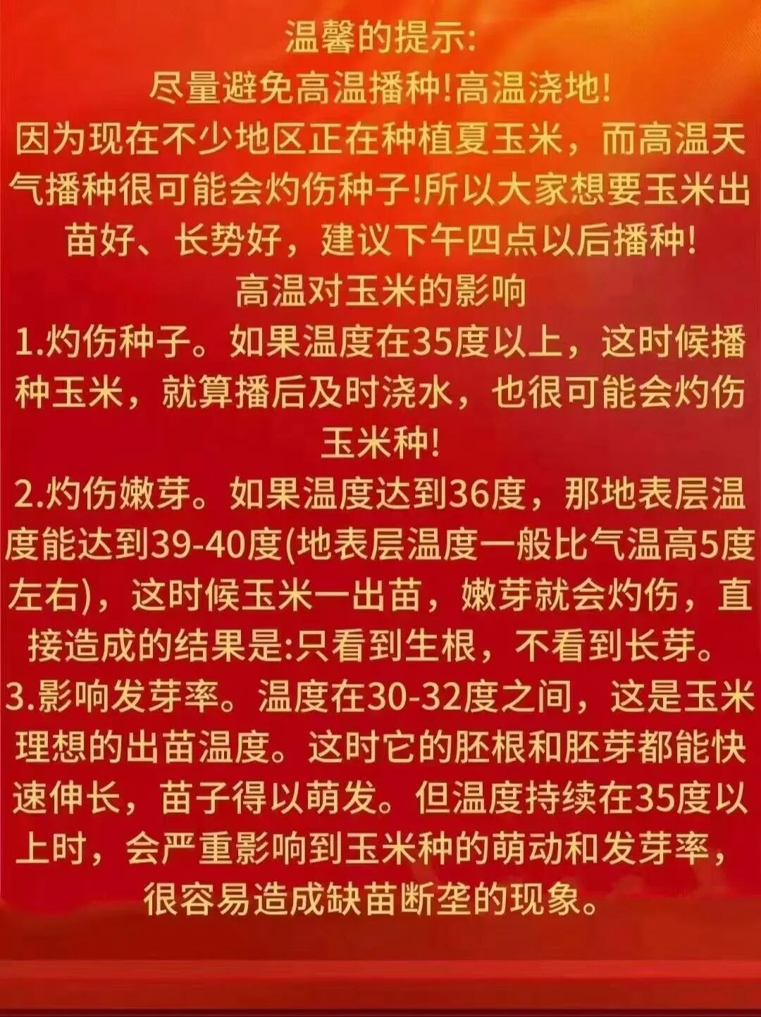 热力升级，高温“狂飙”！关于夏玉米播种，2件事请避免→ -农资与市场官网