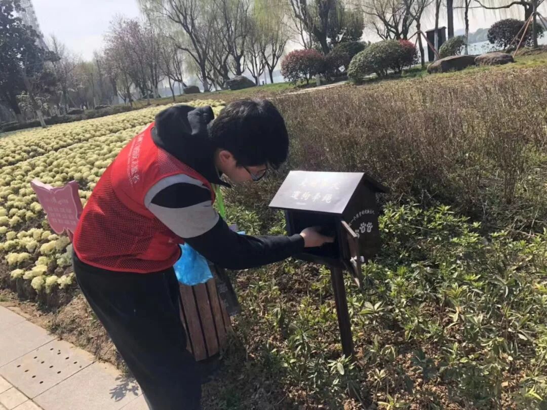 绿色挑战，我们做到了 | 自由微信 | FreeWeChat