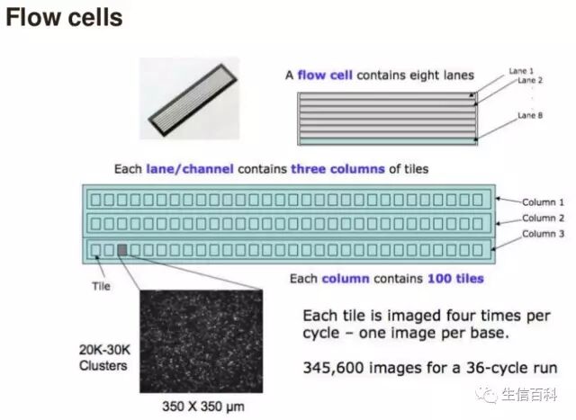 FastQC 测序质量-CSDN博客