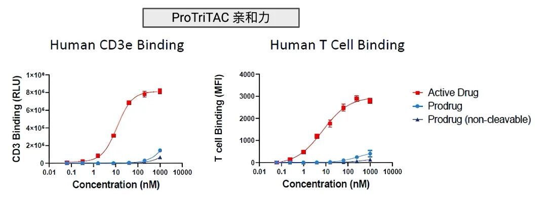 TCE 前药核心策略解析：酶切依赖型激活平台（Janux/Vir/ 默沙东 / Zymeworks）及临床进展
