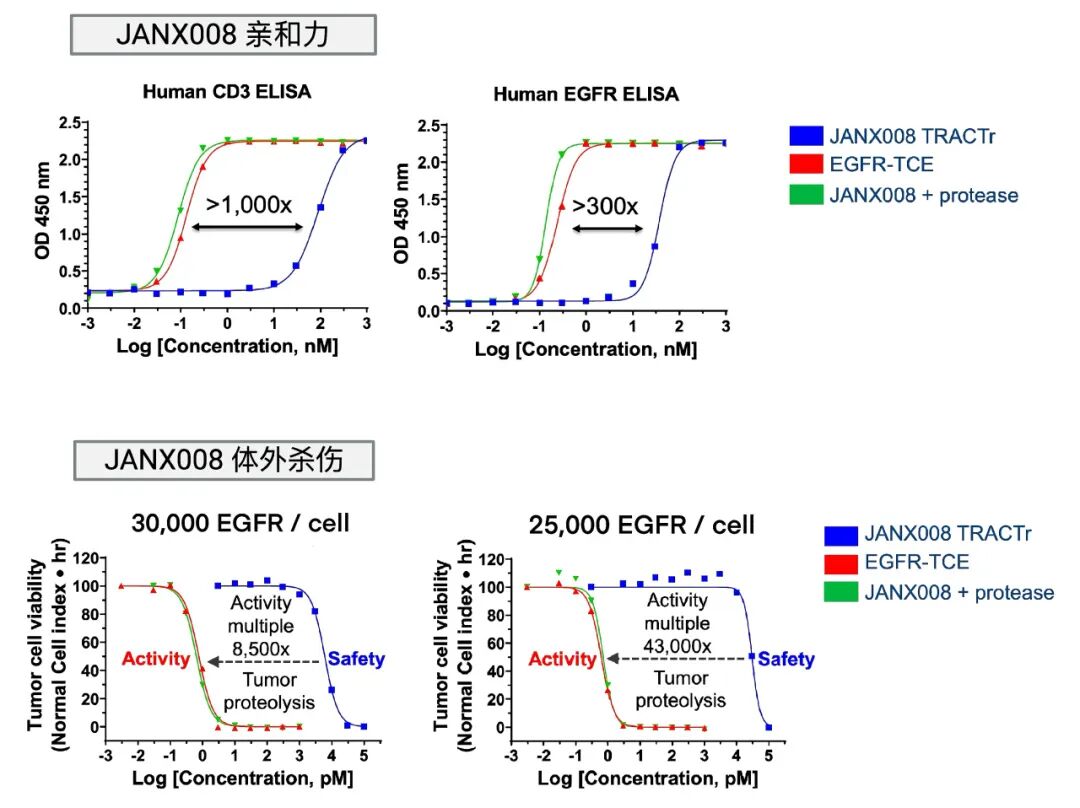 TCE 前药核心策略解析：酶切依赖型激活平台（Janux/Vir/ 默沙东 / Zymeworks）及临床进展