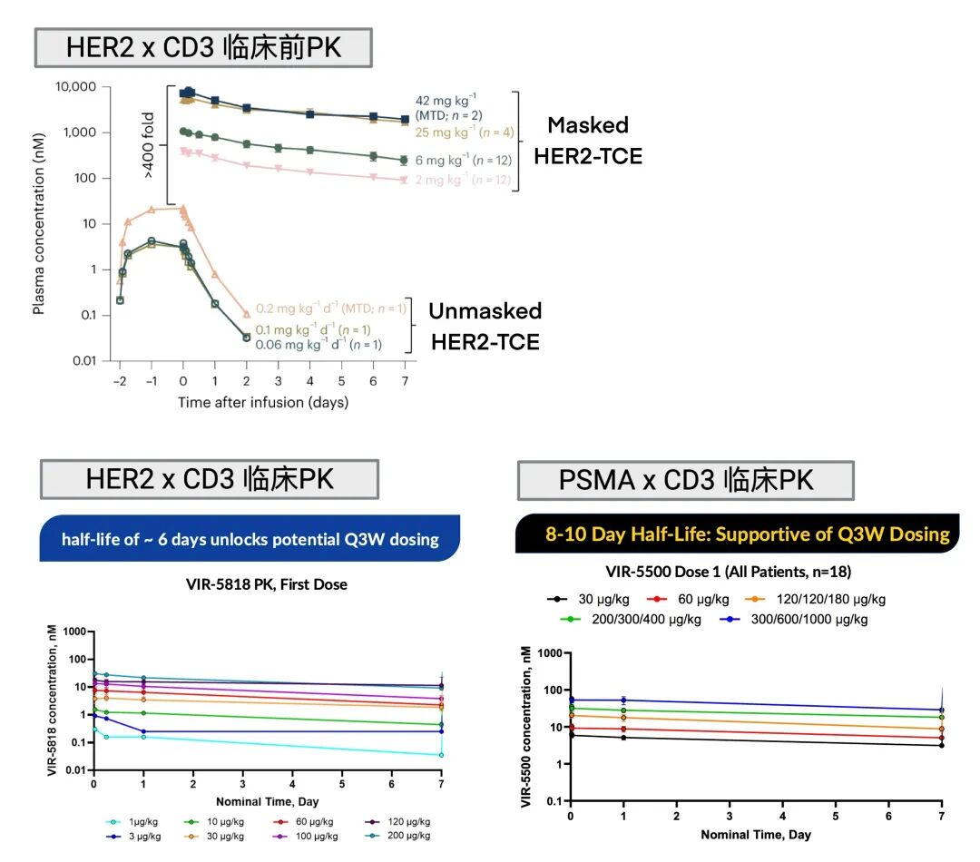 TCE 前药核心策略解析：酶切依赖型激活平台（Janux/Vir/ 默沙东 / Zymeworks）及临床进展