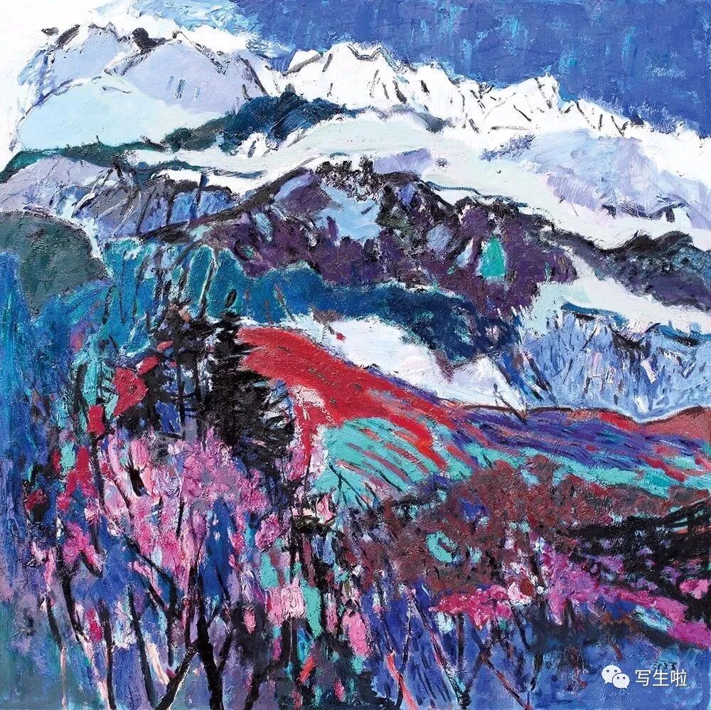 写生啦——雪满枝头 -6park.com