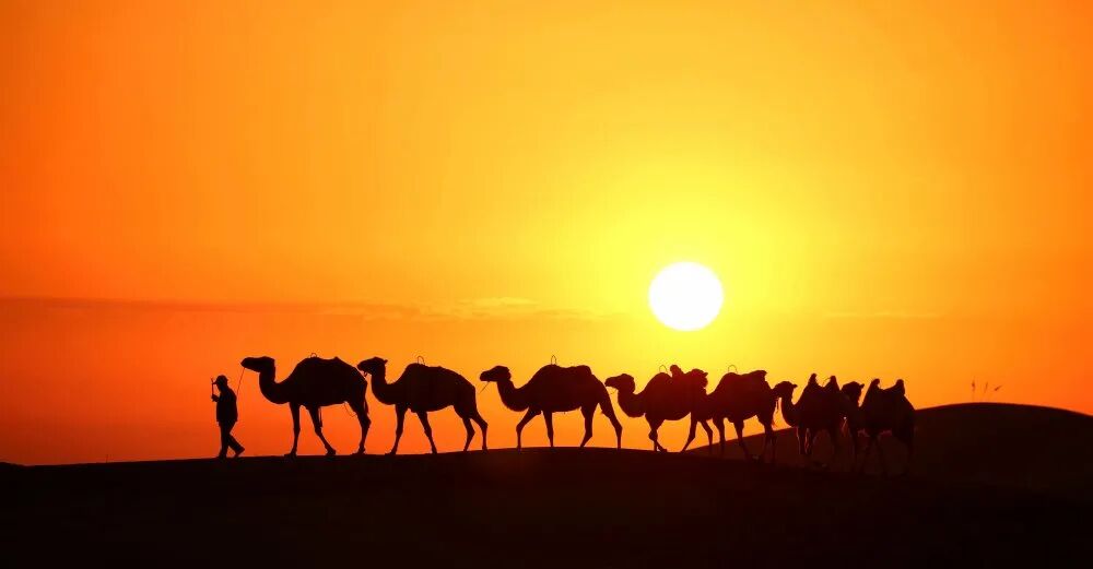 恩格贝，一个有故事的地方-内蒙古故事网-内蒙古新闻网