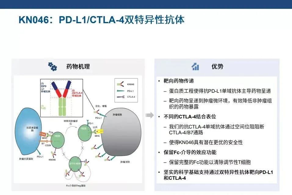 康宁杰瑞KN026+KN046免疫疗法获CDE批准III期临床，用于治疗HER2阳性晚期胃癌医药新闻-ByDrug-一站式医药资源共享中心-医药魔方