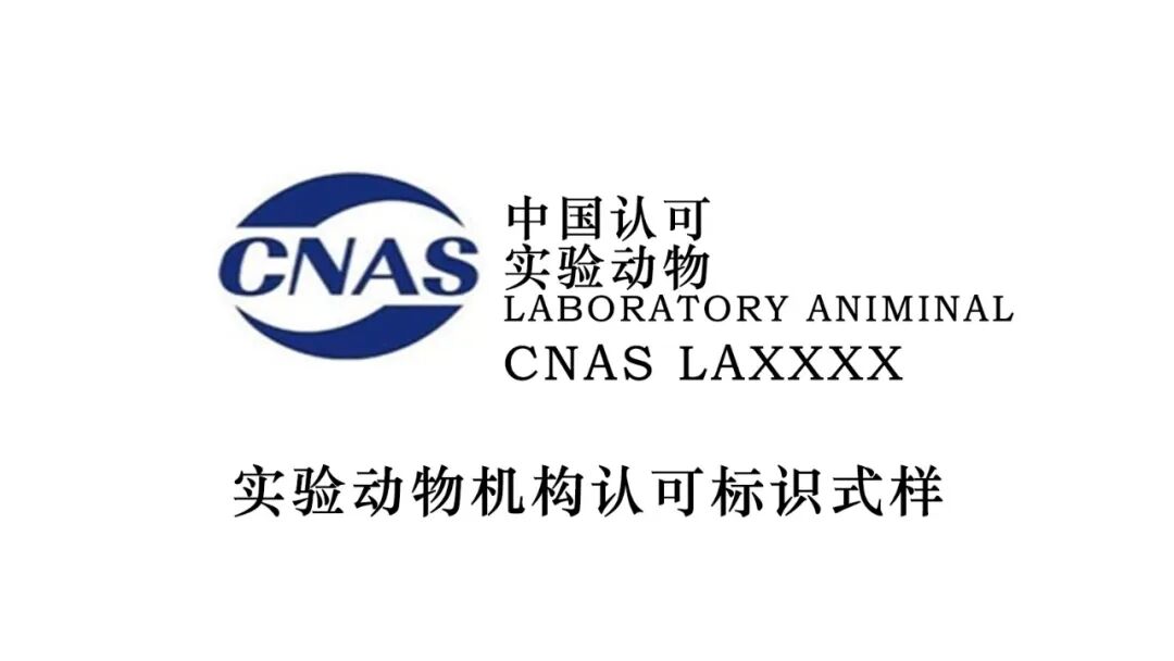CNAS实验室认可的类别有哪些？-实验室常见问题-CNAS认证|实验室认可咨询机构|实验室认证-北京中实博远