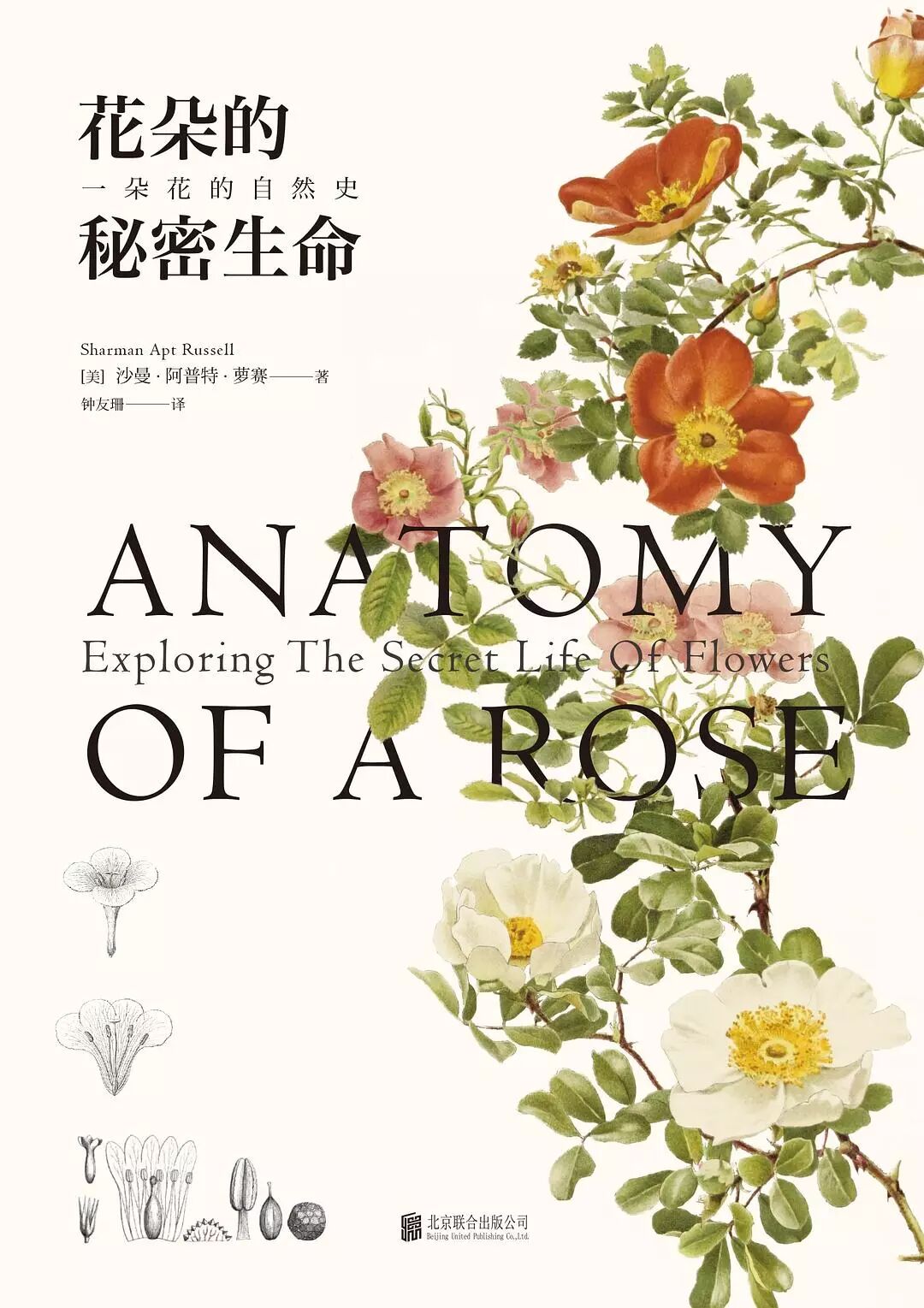 来一次文艺范的科普，一朵花的自然史· 《花朵的秘密生命》/[送原版书] | 自由微信 | FreeWeChat