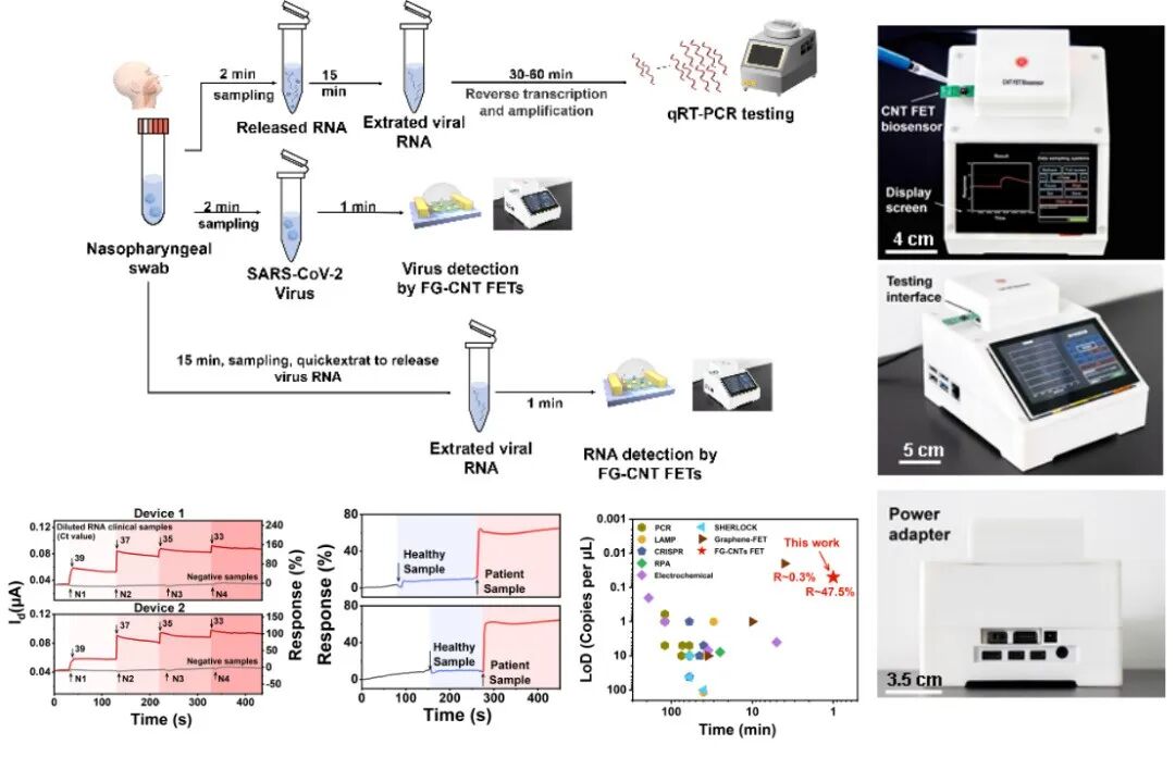 碳纳米管场效应晶体管生物传感器，用于新冠病毒快速检测-电子工程专辑
