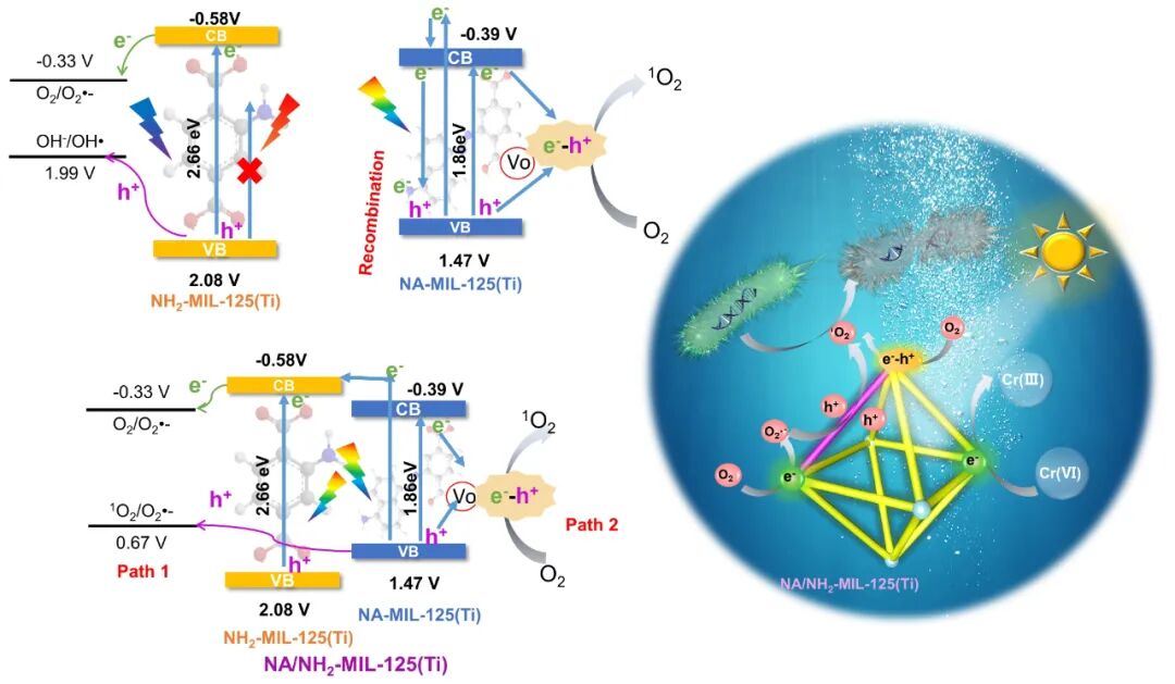 浙商大王齐教授课题组 CEJ：宽光谱响应型NA/NH2-MIL-125(Ti)同质结的制备及光催化还原Cr(VI)和抗菌性能研究
