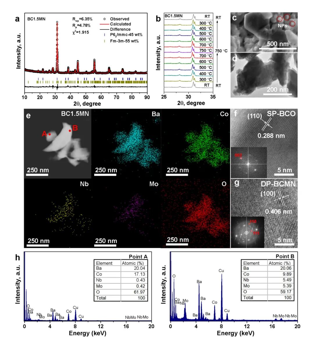 南京工业大学邵宗平教授课题组 AFM: 共掺杂制备高活性自组装的R-PCECs空气电极