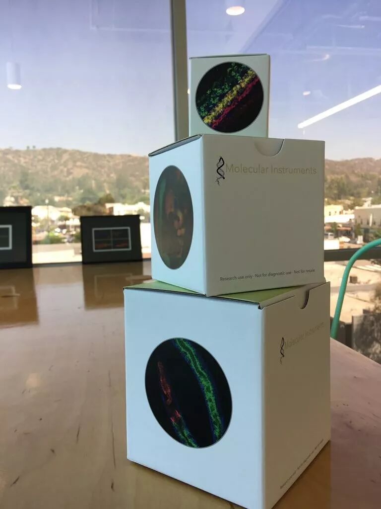 荧光双“探”，照亮你的美 —— 初创企业访谈之Molecular Instruments | Biotech Outlook – 科考夫瞭望