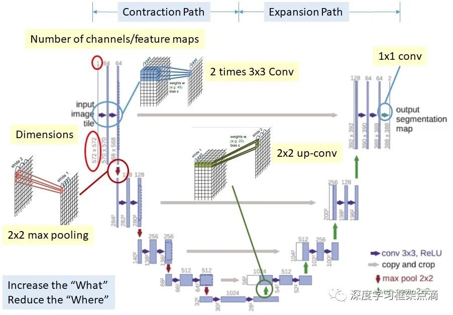 『Unet』医学图像分割入门级网络 - 独傲沐年 - 博客园