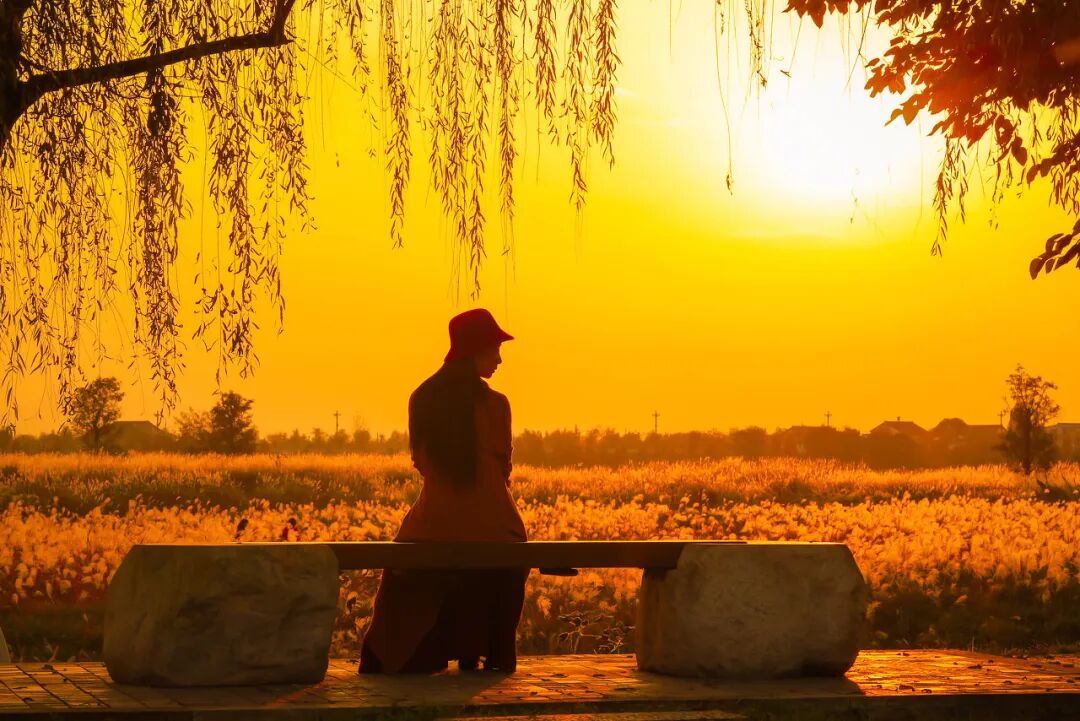 年底了，好好赞美自己