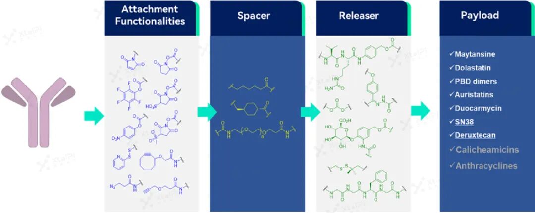 自动化合成如何赋能ADC药物研发？医药新闻-ByDrug-一站式医药资源共享中心-医药魔方