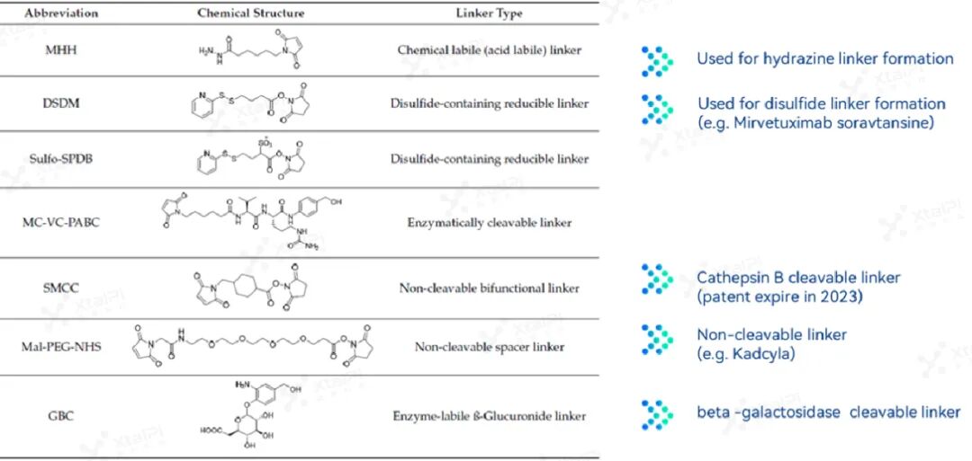 自动化合成如何赋能ADC药物研发？医药新闻-ByDrug-一站式医药资源共享中心-医药魔方