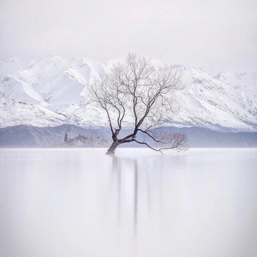 好图分享 : r/chn