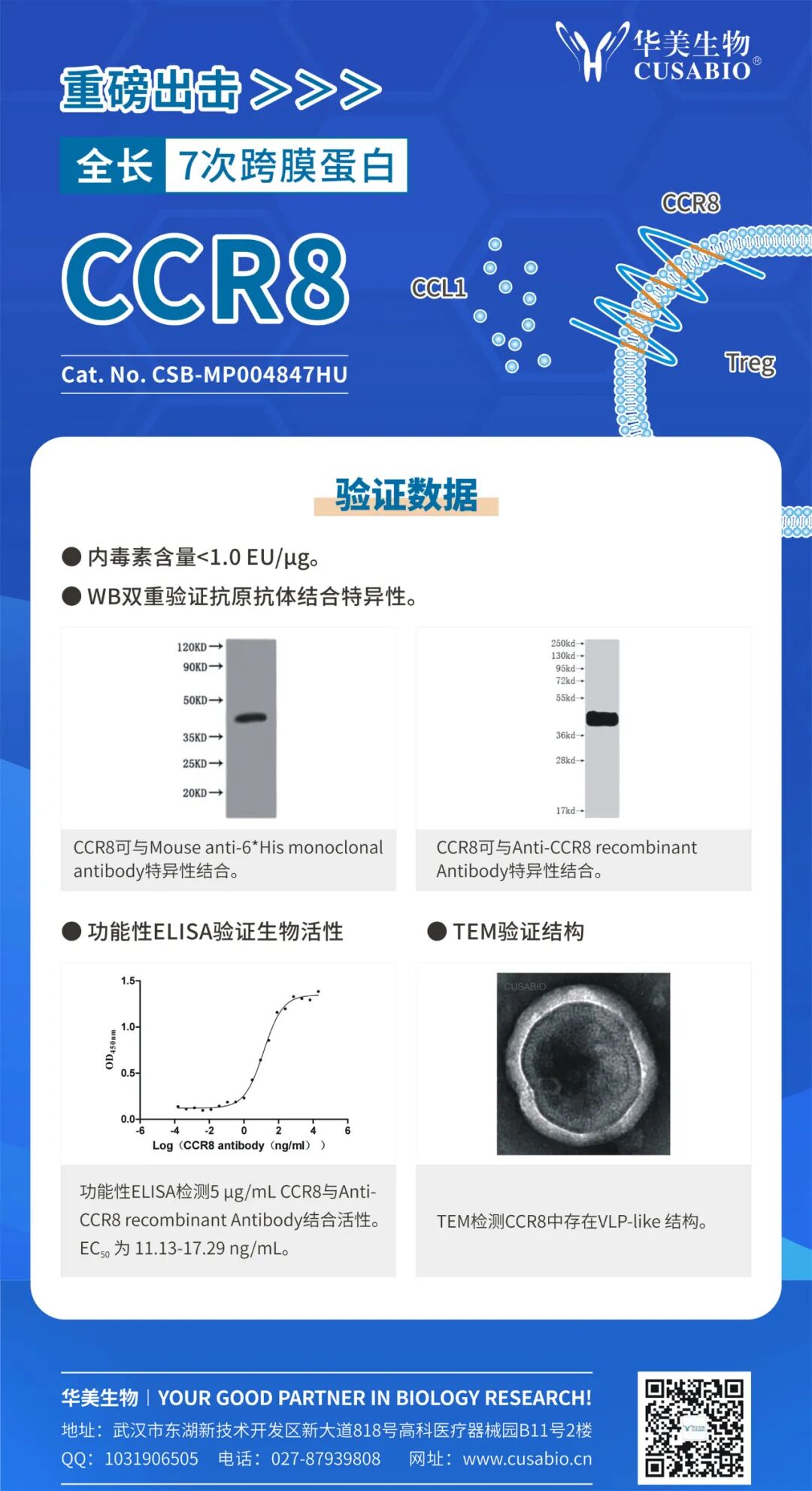 CCR8：Tregs细胞的特异性靶点，催生下一代重磅肿瘤免疫药物！ - 脉脉