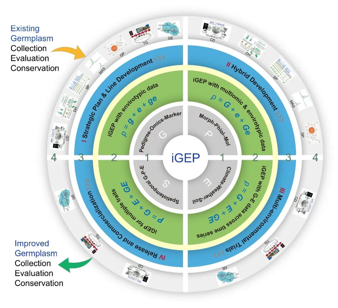 【育种MBA】 0007 大数据、人工智能和基因组-环境组集成预测驱动的智能育种