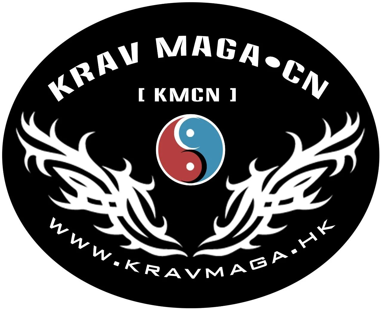 通过考核！获得自由搏击教练资格！——格斗协会官方认证课程！-最新资讯-KMCN以色列格斗术国际联盟-Krav maga马伽术