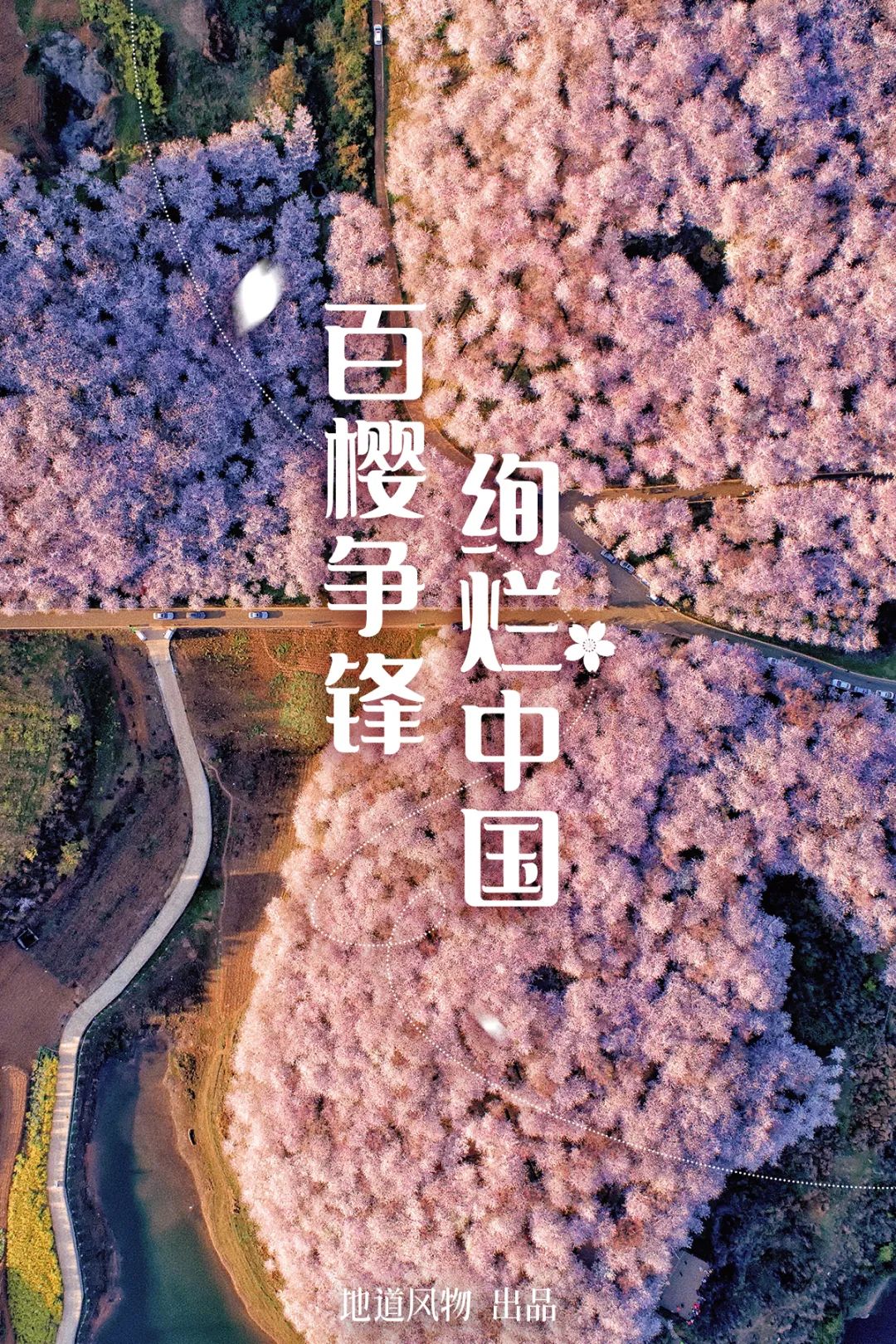 中国哪里的樱花最好看？三万里赏樱地图请查收！ -6park.com