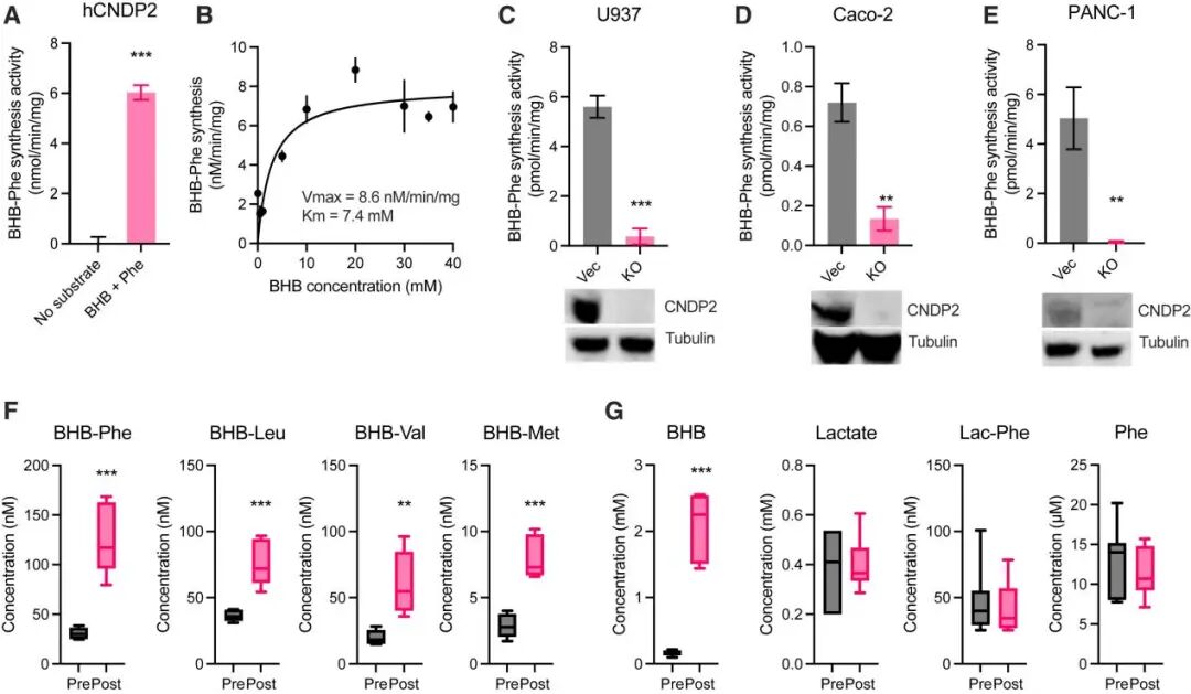 景杰生物-新闻中心