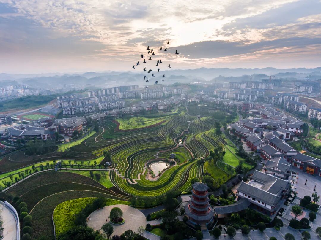 今天，毕节这些“珍宝”走俏花城广州 | 自由微信 | FreeWeChat