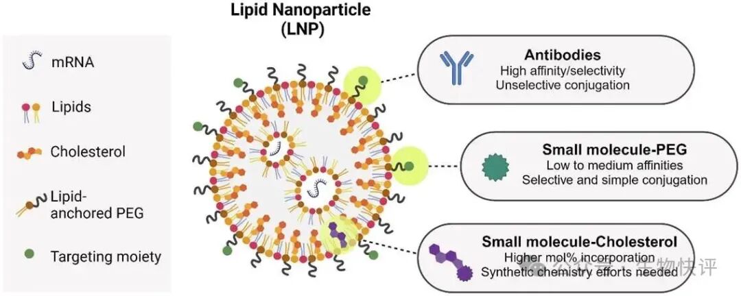 脂质纳米颗粒（LNP）机制与应用全解析：从膜融合原理到 in vivo CAR-T 治疗自免疾病（附临床数据）