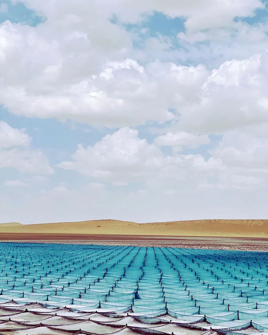 2022 年 iPhone 摄影奖获奖者公布：24张最佳照片 -6parkbbs.com