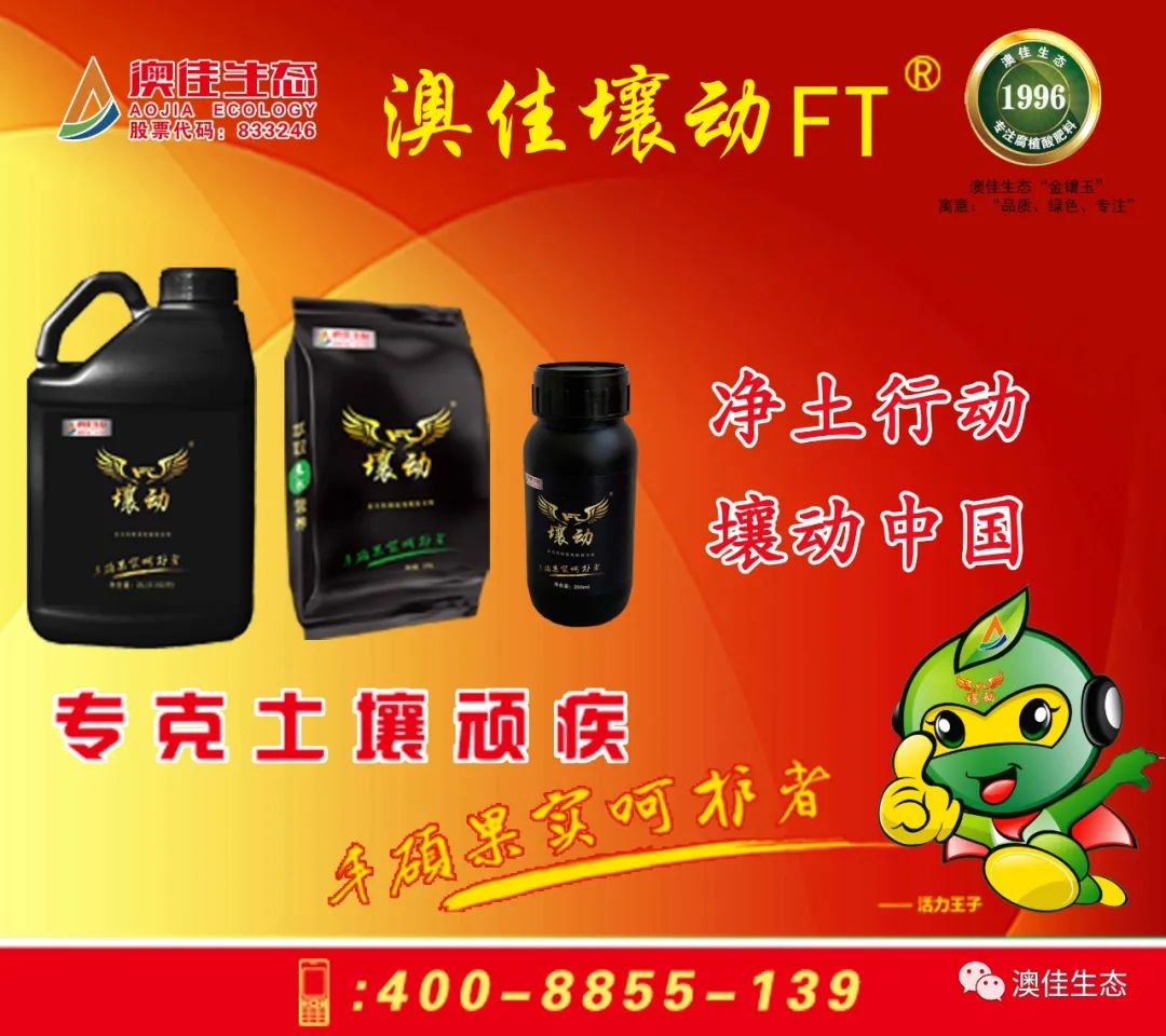 小麦观摩会不仅只看看这么简单，后续管理才更重要！ -农资与市场官网