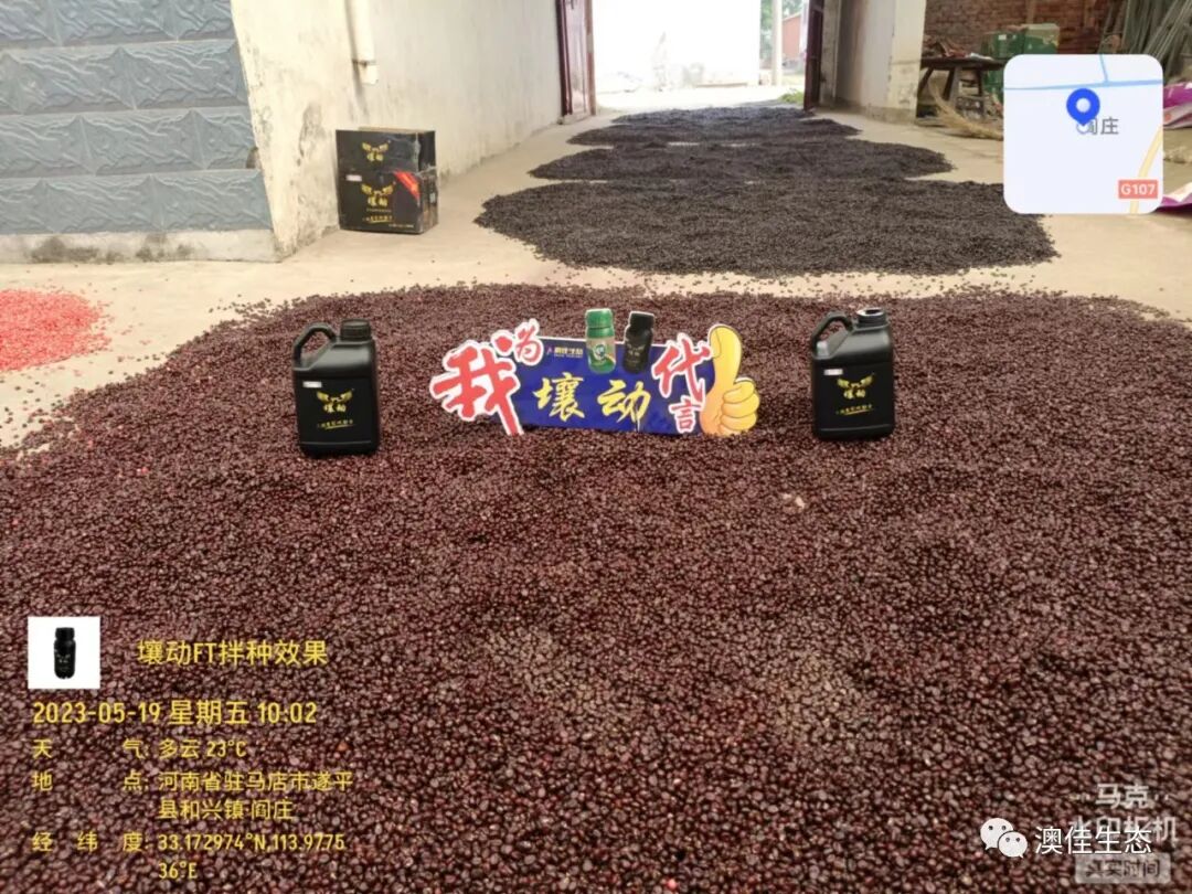 为什么要拌种？今天给你答案！ -农资与市场官网