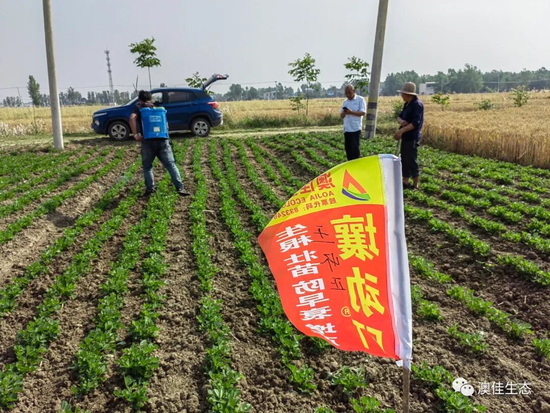 壤动拌种，让我的花生赢在起跑线！ -农资与市场官网