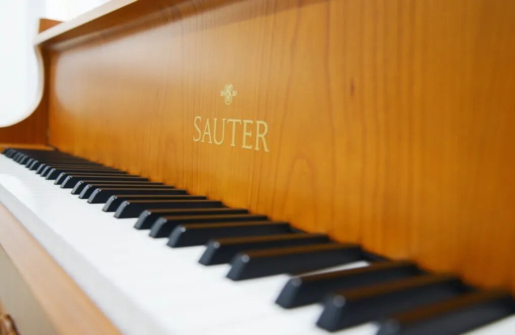 SAUTER CHIPPENDALE｜带你进入巴洛克的古典世界-德国SAUTER钢琴中文官网，SAUTER钢琴|首德钢琴|德国原装钢琴|卡尔约翰钢琴