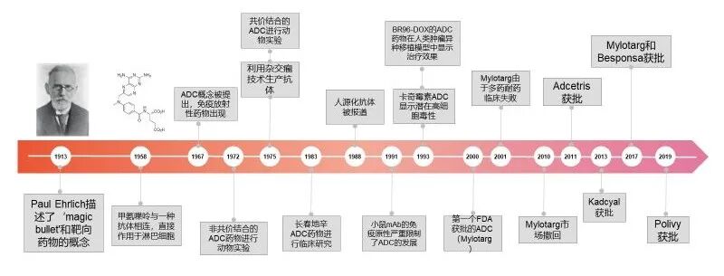 会有报告|全球 6 款ADC上市，预计百奥泰是国产第 1 家！ - 药闻一线 - 会会药咖