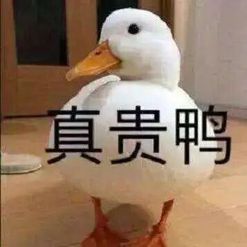 词汇学习：dear是“亲爱的”，money是“钱”，那dear money是什么意思？ - 英语家园