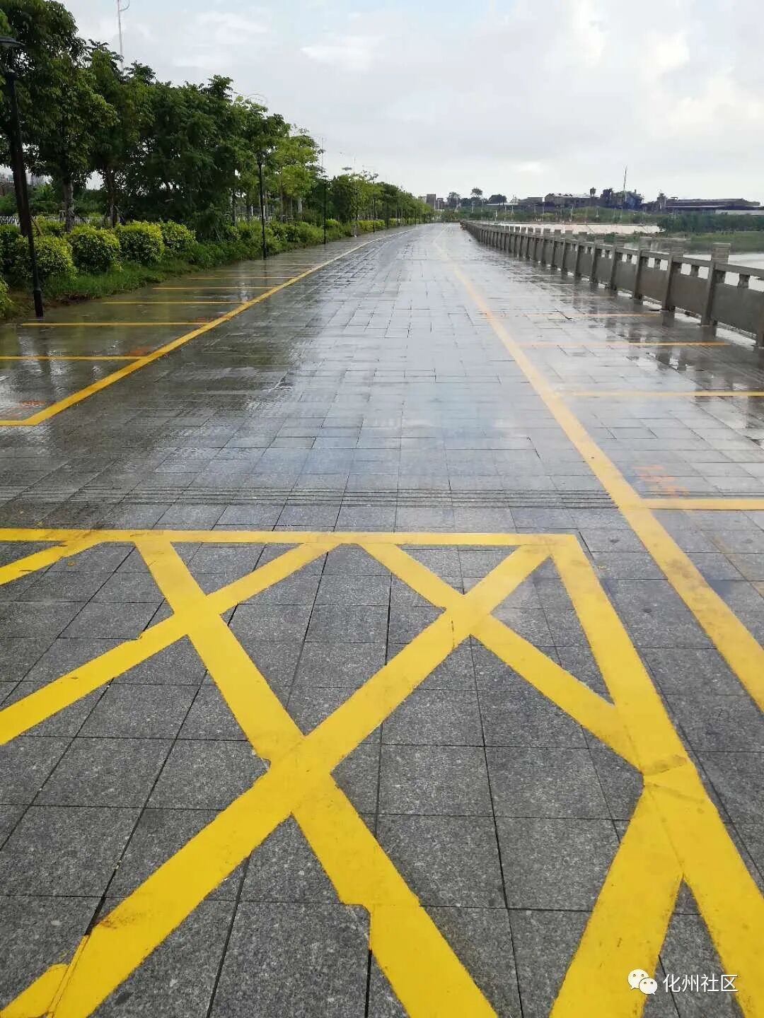 化州东堤南路网红地摊街大清场！今晚开始统一进场经营，开启化州地摊经济时代！ | 自由微信 | FreeWeChat