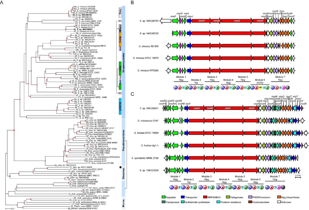 科学网—[转载]基因组时代全新糖肽抗生素的发掘 - ACS Central Science - 韩双的博文