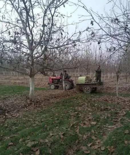 春季果园清园六字诀！ -农资与市场官网