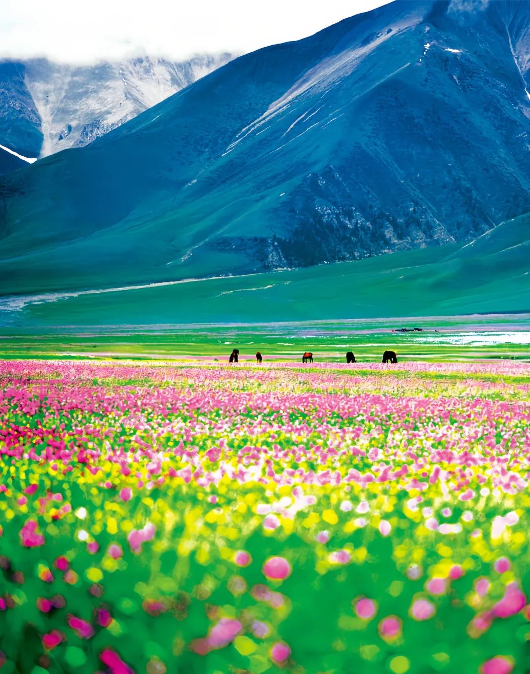 人若不顺时，一定要多去这3个地方，好运马上就会回来！ | 自由微信 | FreeWeChat