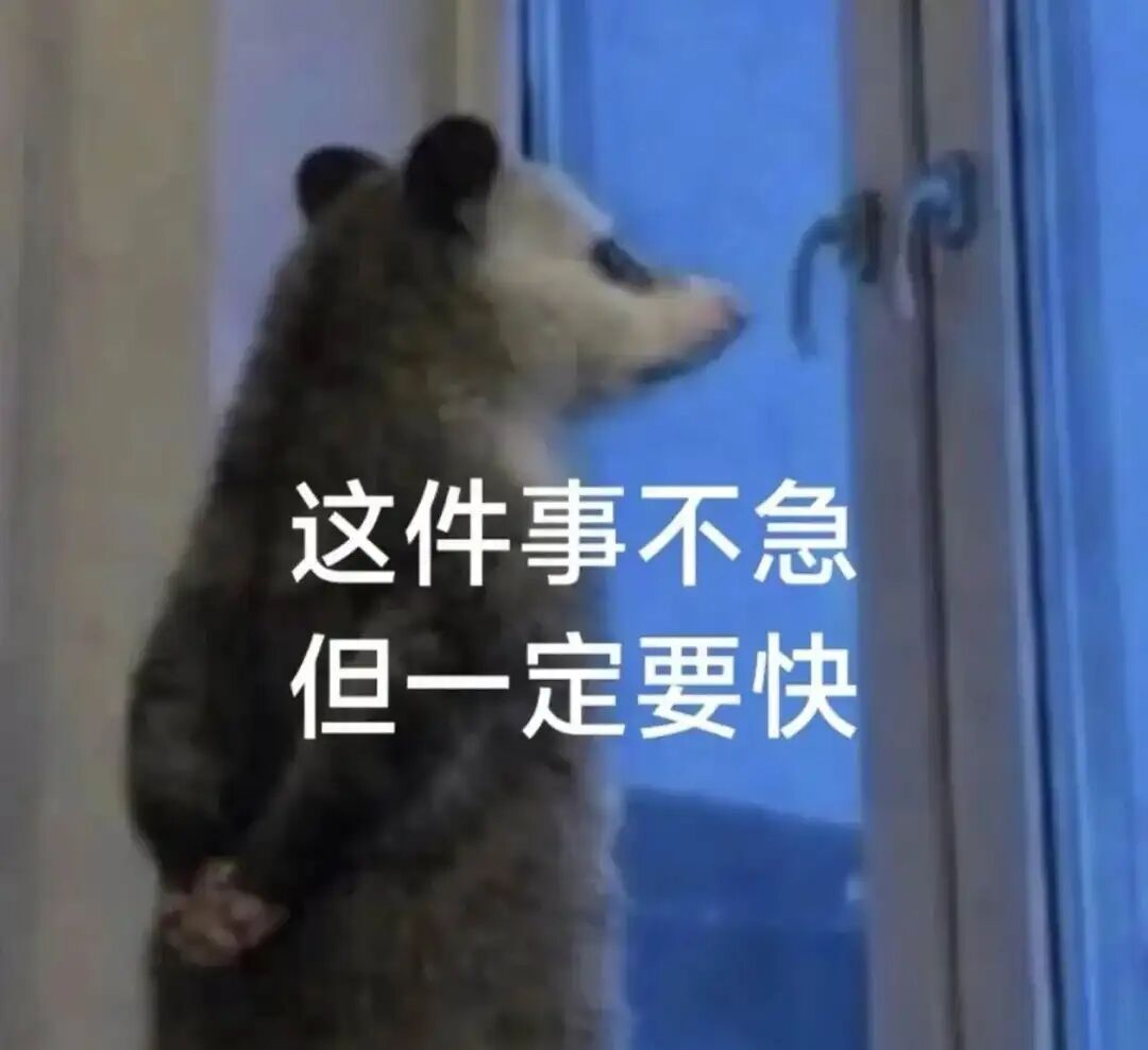 双语新闻：“背手负鼠”火了！网友：我将全网收集这只负鼠表情包