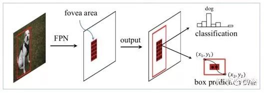 Anchor Free Object Detection | Qiang Zhang