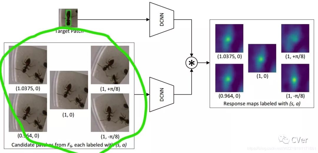 Siamese Network Based Single Object Tracking | Qiang Zhang