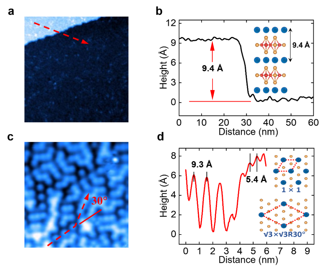 尹鑫茂教授等在《Advanced Materials》上发表Kagome超导体最新成果 - 课题组新闻 - 上海市高温超导重点实验室