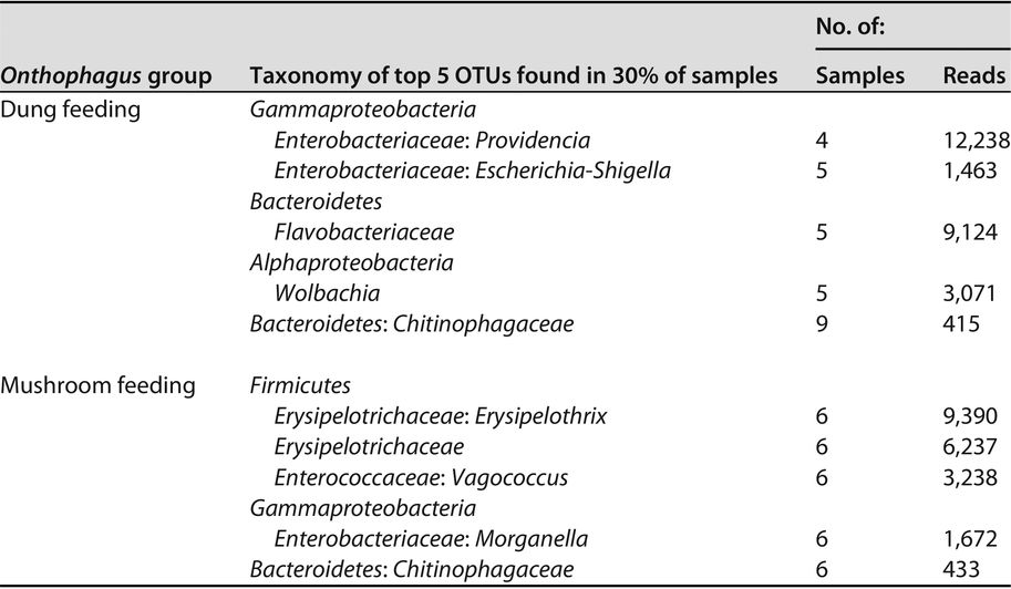 科学网—科研 | AEM：后肠微生物群反映了粪甲虫的不同消化策略 - 江舜尧的博文