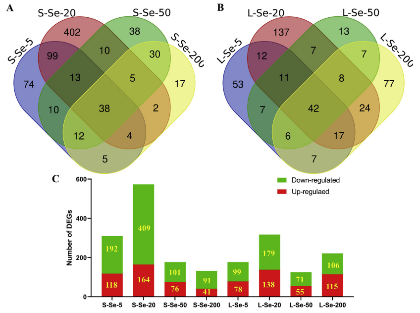 科学网—西南大学 | Chemosphere：棉花红蜘蛛Tetranychus cinnabarinus对植物短/长期硒处理的转 - 江舜尧的博文