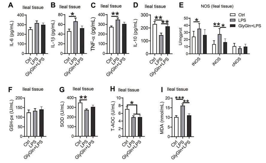 科学网—华中农业大学 | Food Funct：日粮中添加二肽甘氨酰谷氨酰胺可改善LPS刺激仔猪肠道菌群的肠道完整性、炎症反应和 - 江舜尧的博文