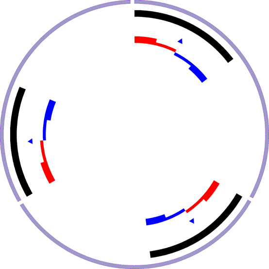 科学网—技术贴 | 手把手教你如何画Circos图 - 江舜尧的博文