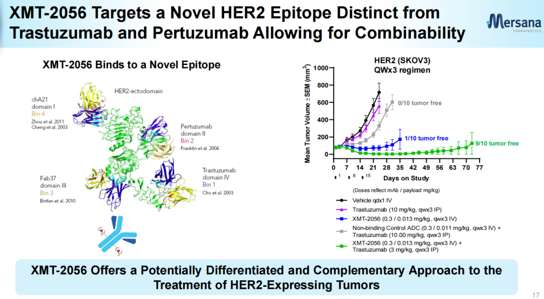 STING激动型ADC：距离成功还有多远？医药新闻-ByDrug-一站式医药资源共享中心-医药魔方