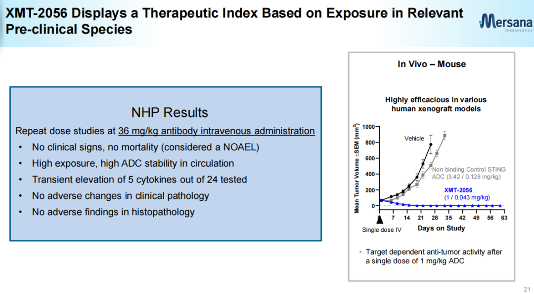 STING激动型ADC：距离成功还有多远？医药新闻-ByDrug-一站式医药资源共享中心-医药魔方