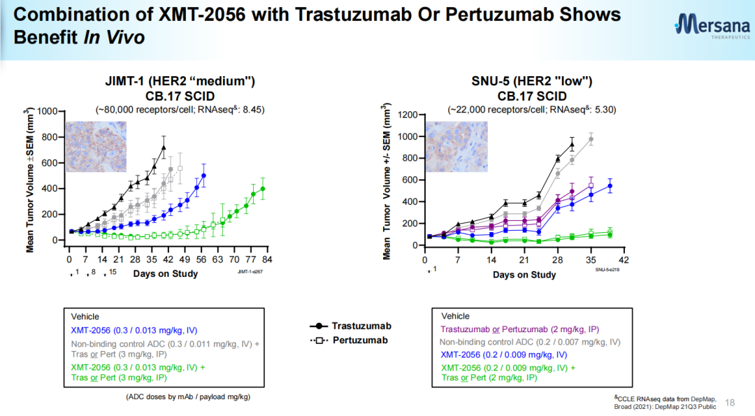 STING激动型ADC：距离成功还有多远？医药新闻-ByDrug-一站式医药资源共享中心-医药魔方
