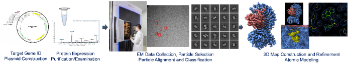 唯久生物完成GPCR拮抗剂美国I期临床首次人体给药，并宣布与佰翱得达成SBDD的长期合作，进一步推进新药管线的全球布局医药新闻-ByDrug ...